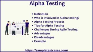 Alpha Testing - Meaning, Example, Advantages and Disadvantages