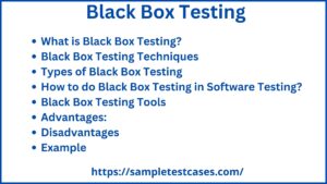Black Box Testing- Techniques, Types & Example